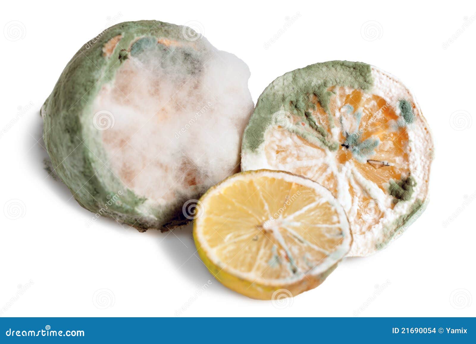 Mouldy Lemon stock photo. Image of orange, mildew, danger - 21690054