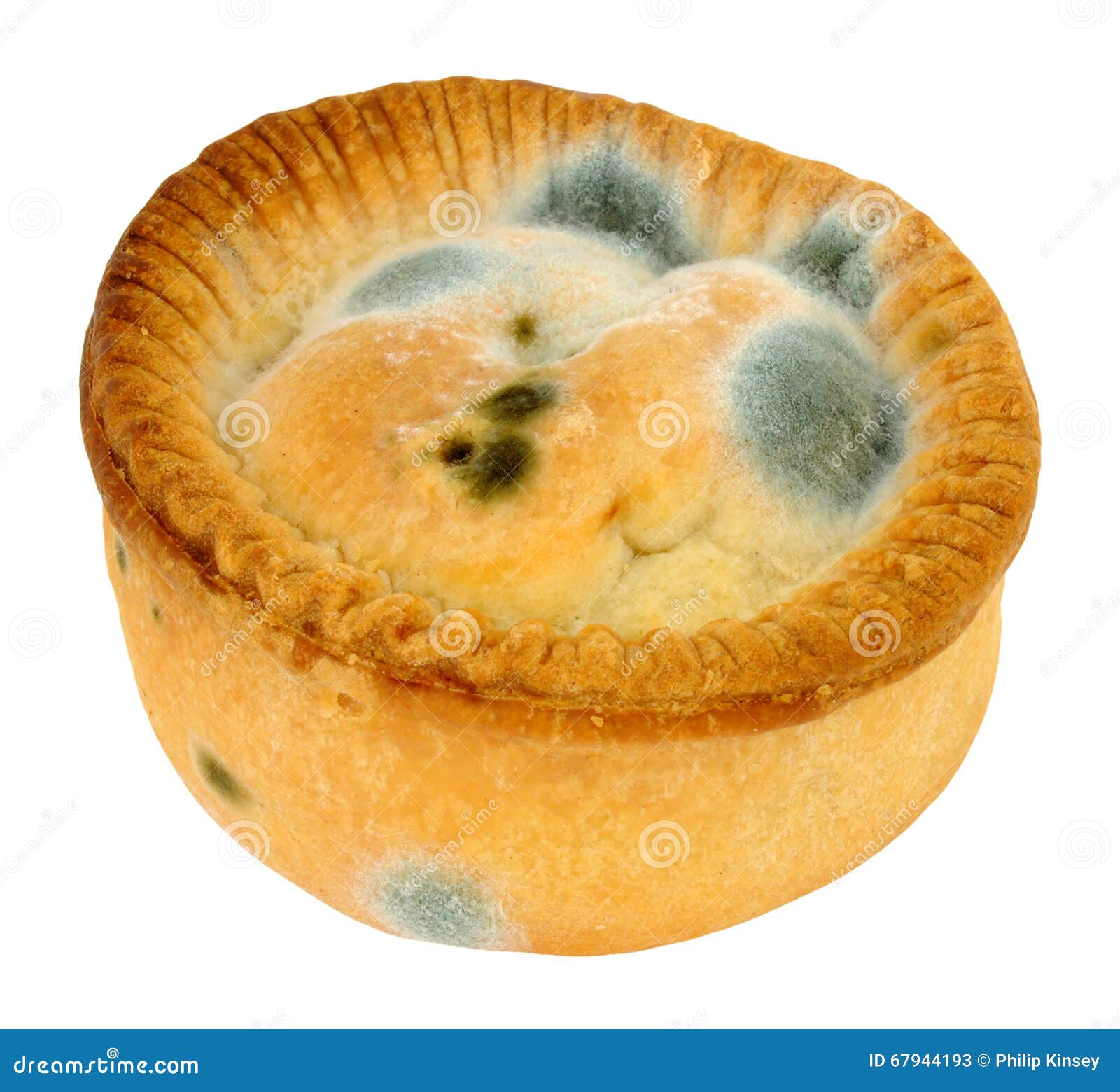 Rotten Meat Stock Photo | CartoonDealer.com #37078482