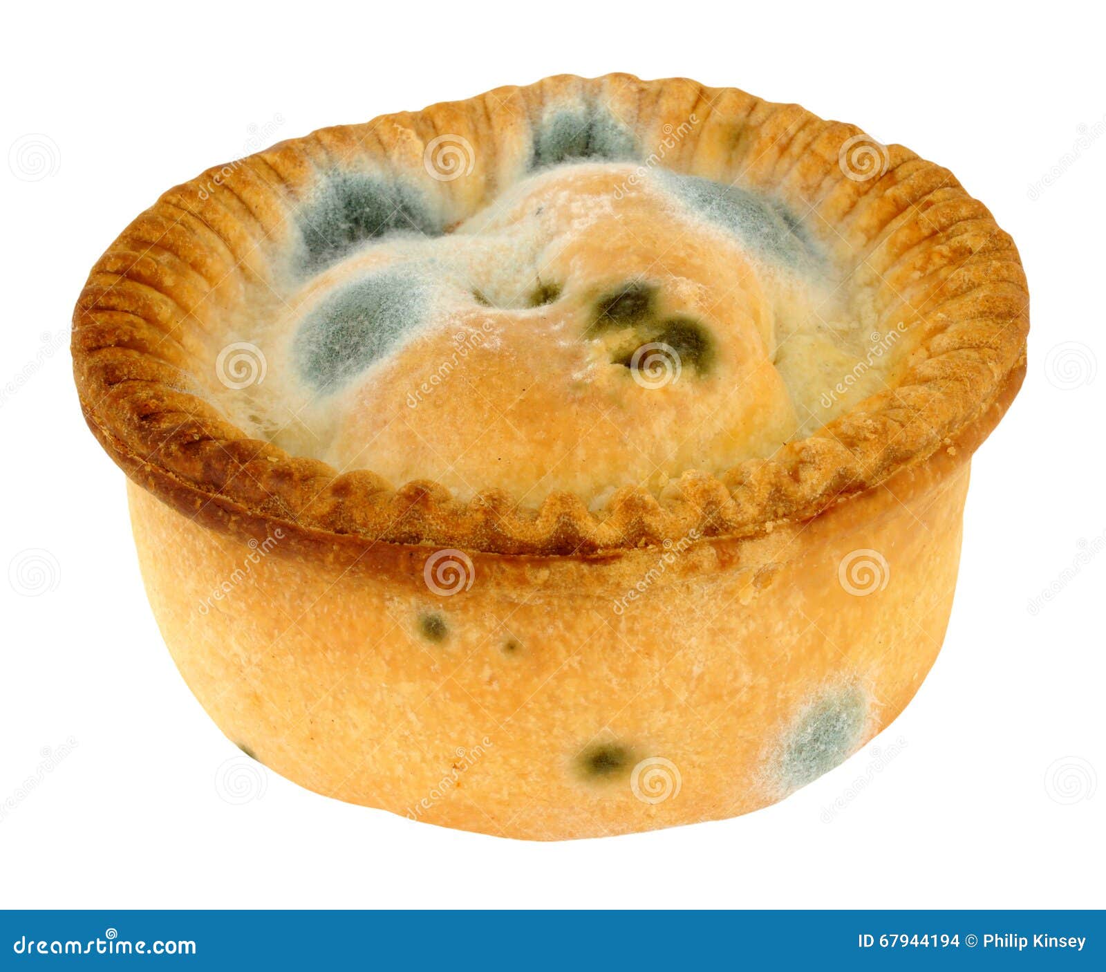 Mouldy Meat Pie stock photo. Image of hygiene, fungi - 67944194