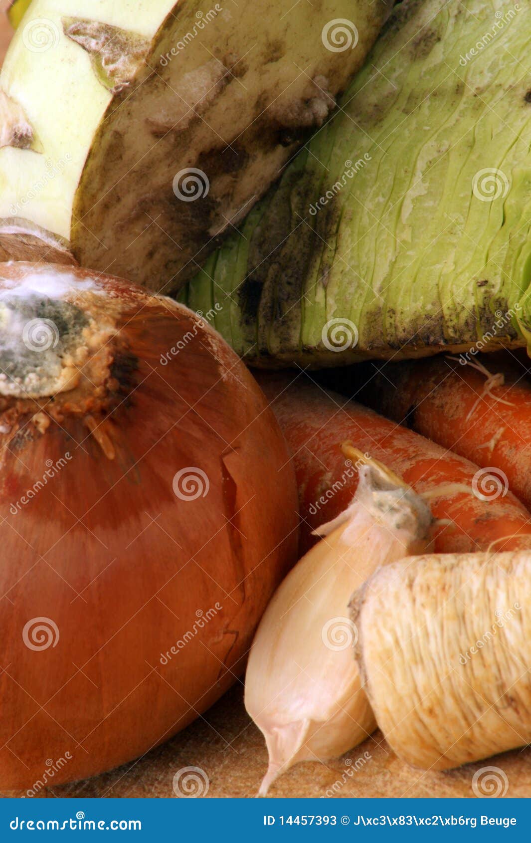 Mouldy organic vegetable stock image. Image of illness - 14457393