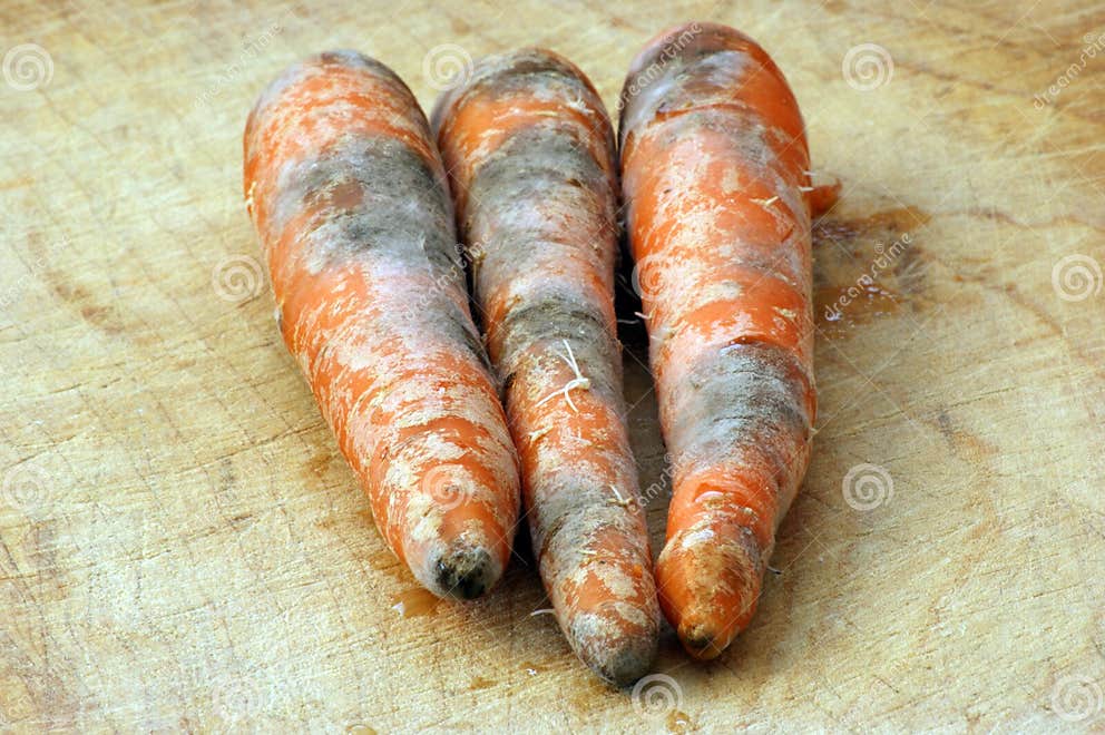 Mouldy organic vegetable stock image. Image of illness - 14457421