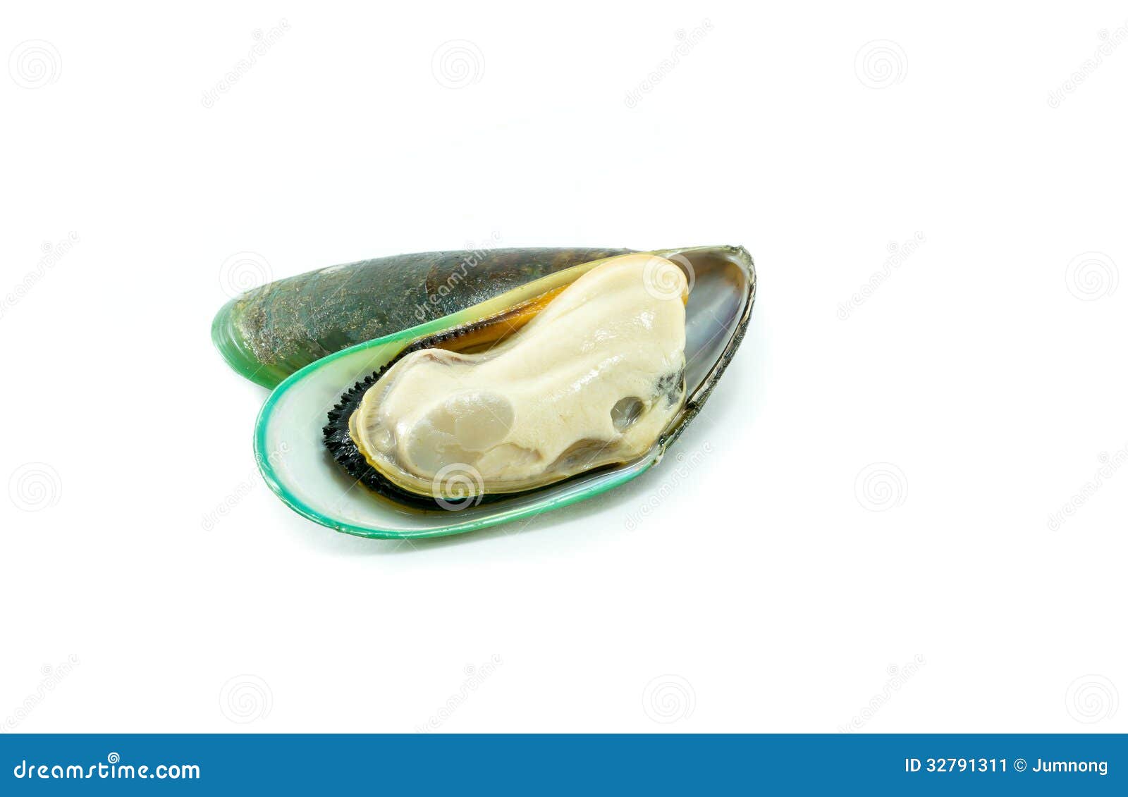 Moule verte image stock. Image du ouvert, vivacité, apéritif - 32791311