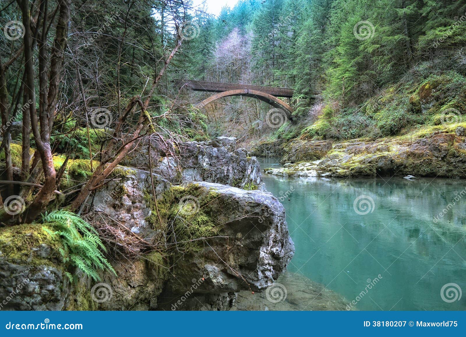 Moulton Falls Bridge Washington Stock Image - Image of world, forest ...