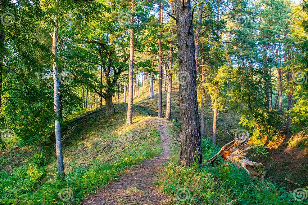 Mound and Forest, Lithuania Stock Photo - Image of bare, outdoor: 86101468