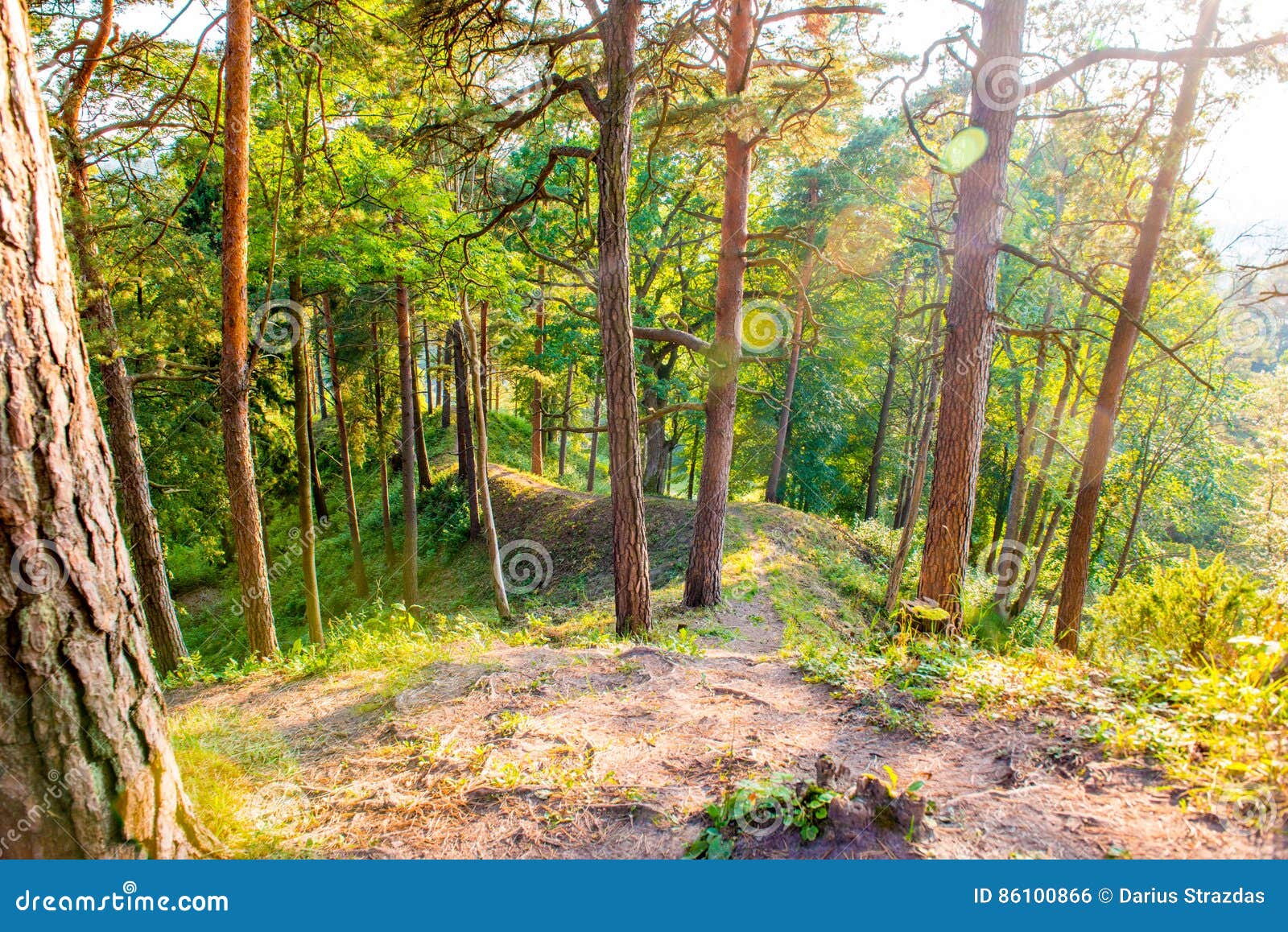 Mound and Forest, Lithuania. Naujosios Revos Mound Stock Photo - Image ...