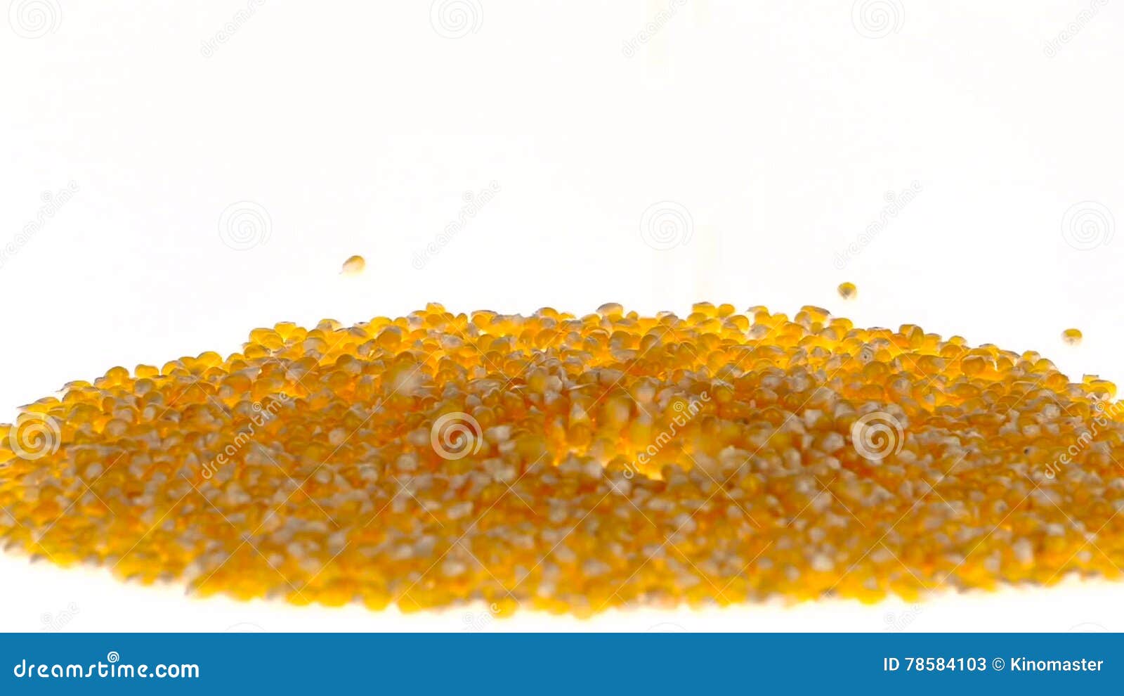 Mound of Grain Feed Corn. Close Up. White. Slow Motion Stock Video ...