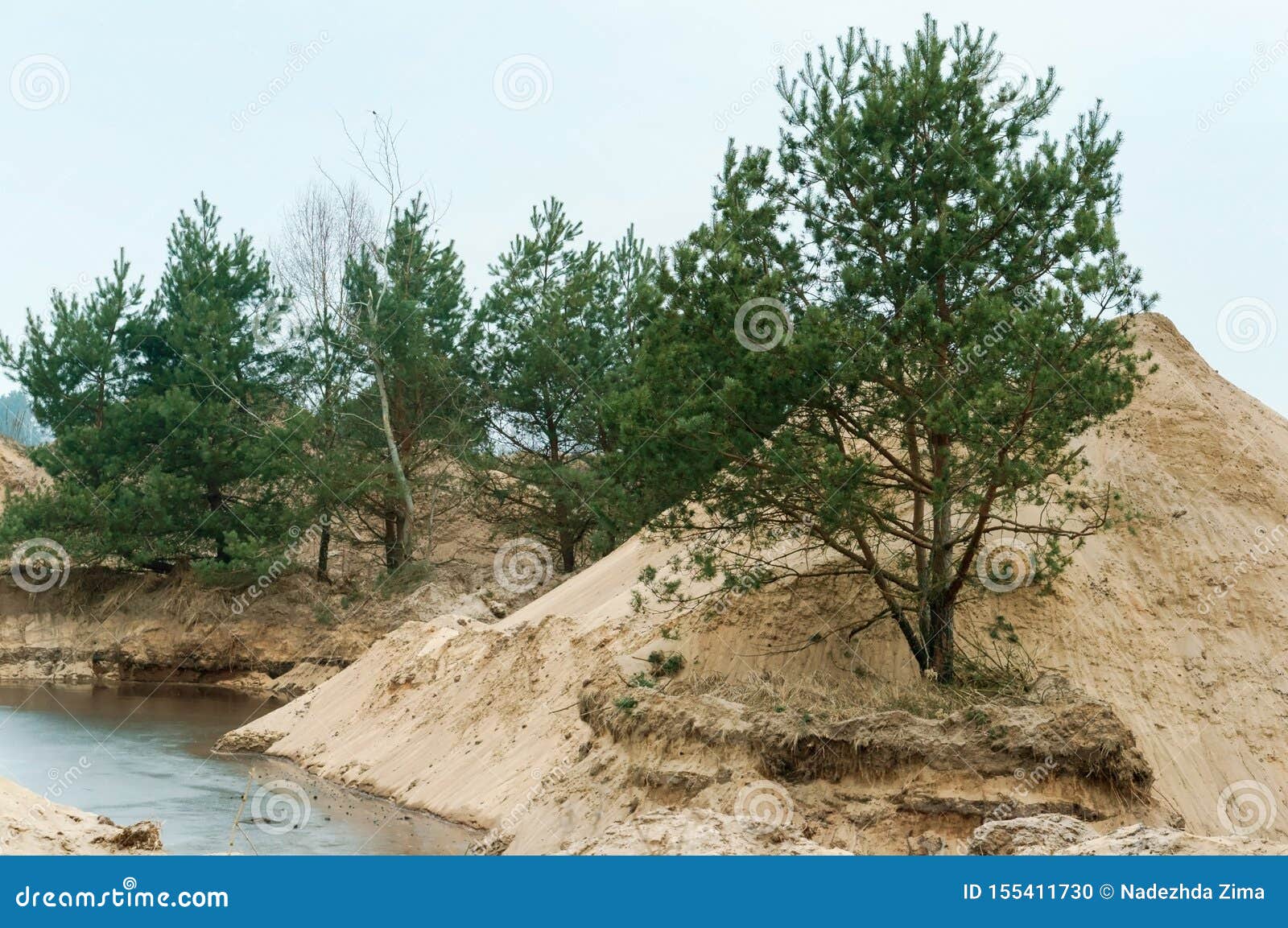Mound of Sand among the Trees, Sand Quarry, Sand Mining Stock Photo ...