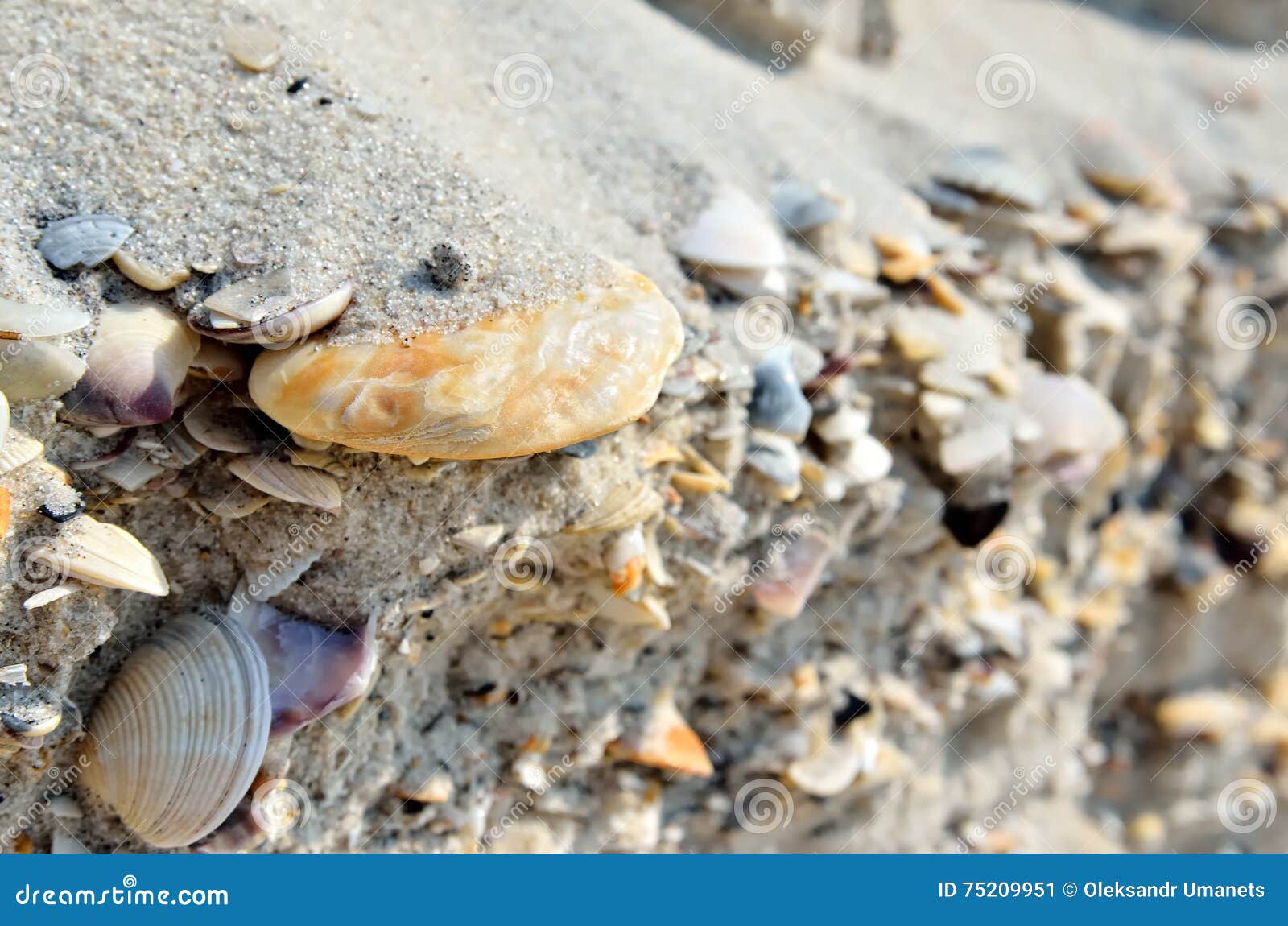 Mound of Shells, Stones and Sand on the Seashore Stock Image - Image of ...