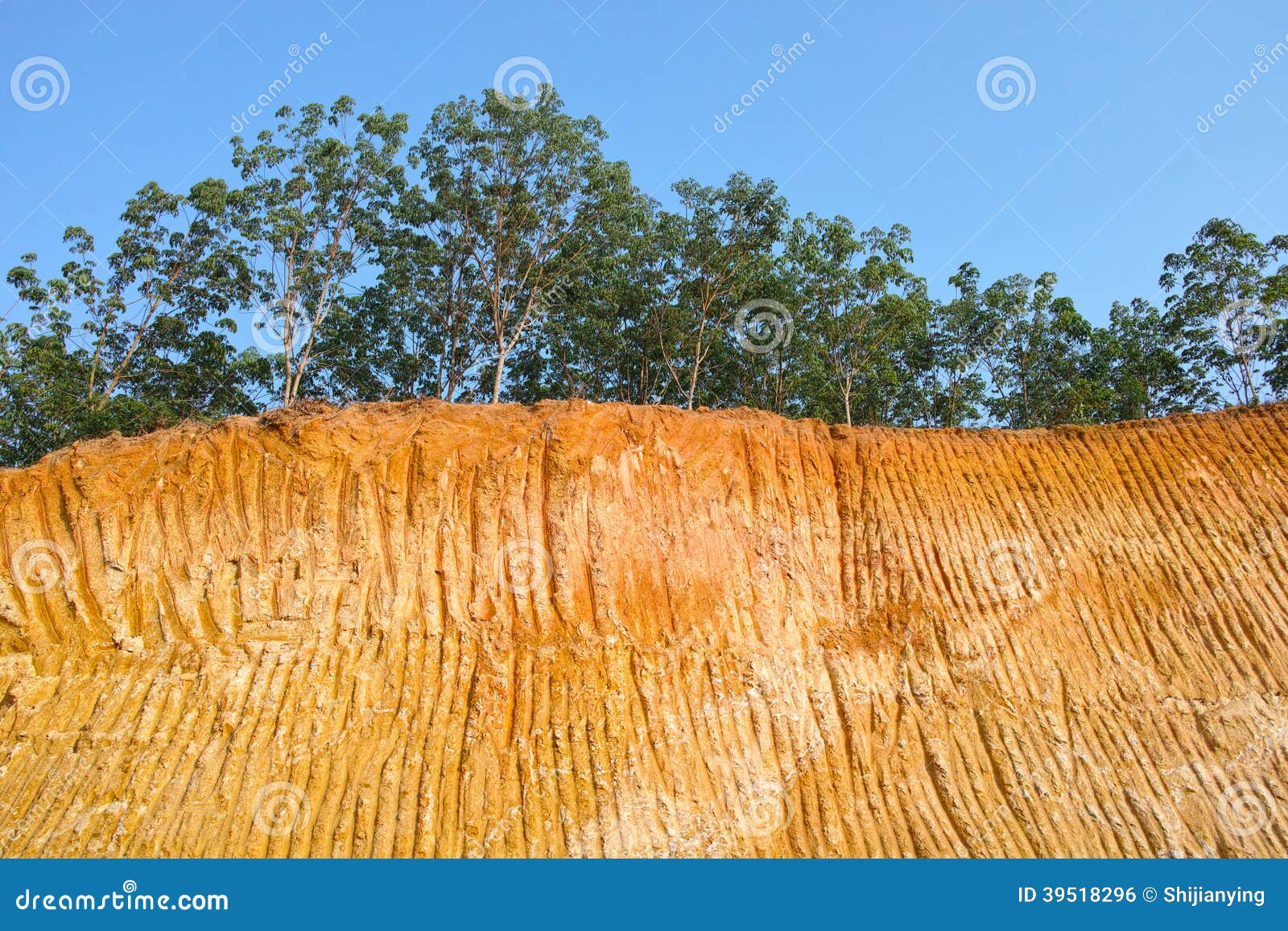 Mound and trees stock photo. Image of woods, plant, wall - 39518296