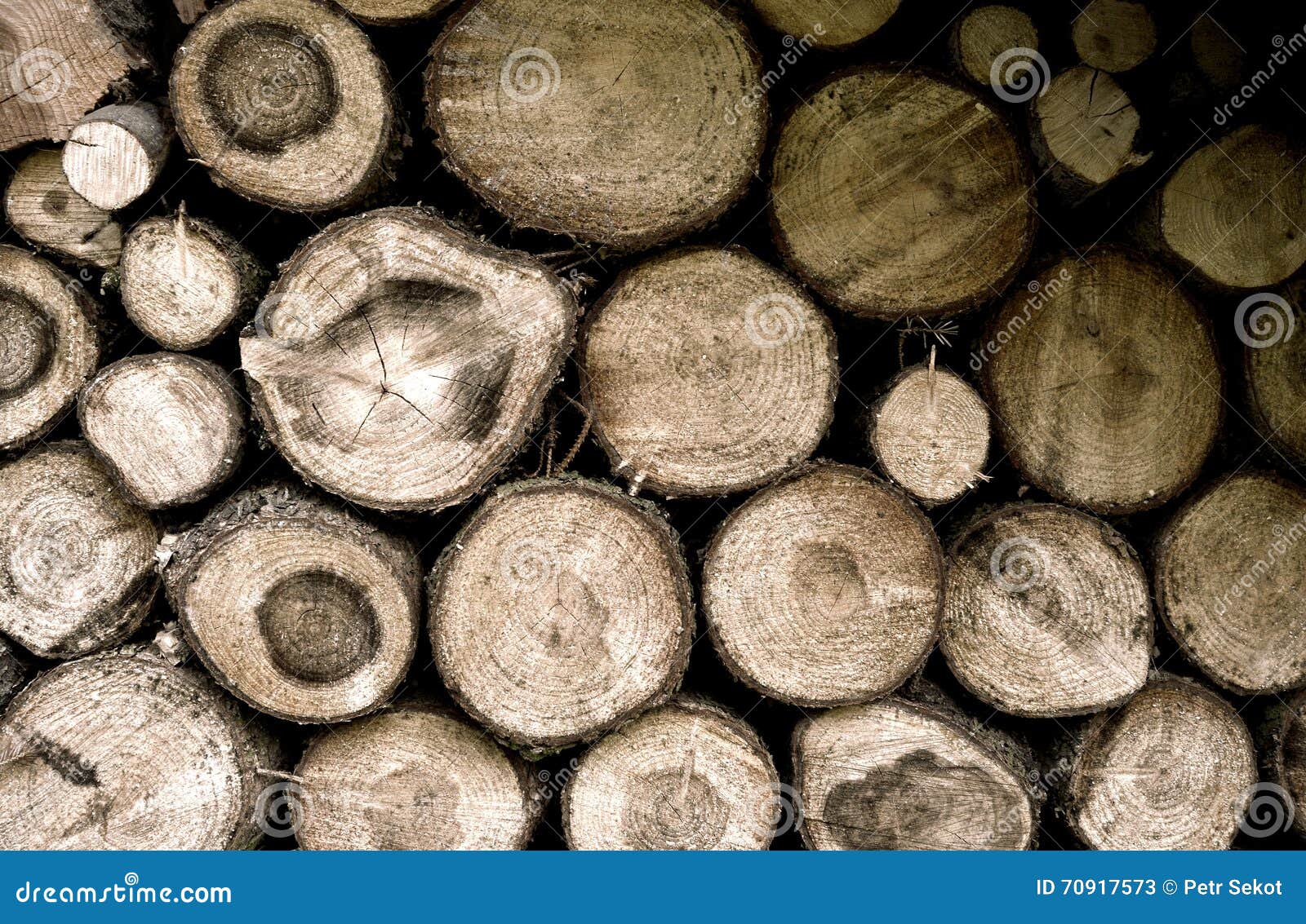 Mound of Wood, Lumber, Timber from Mountain Forest Stock Image - Image ...