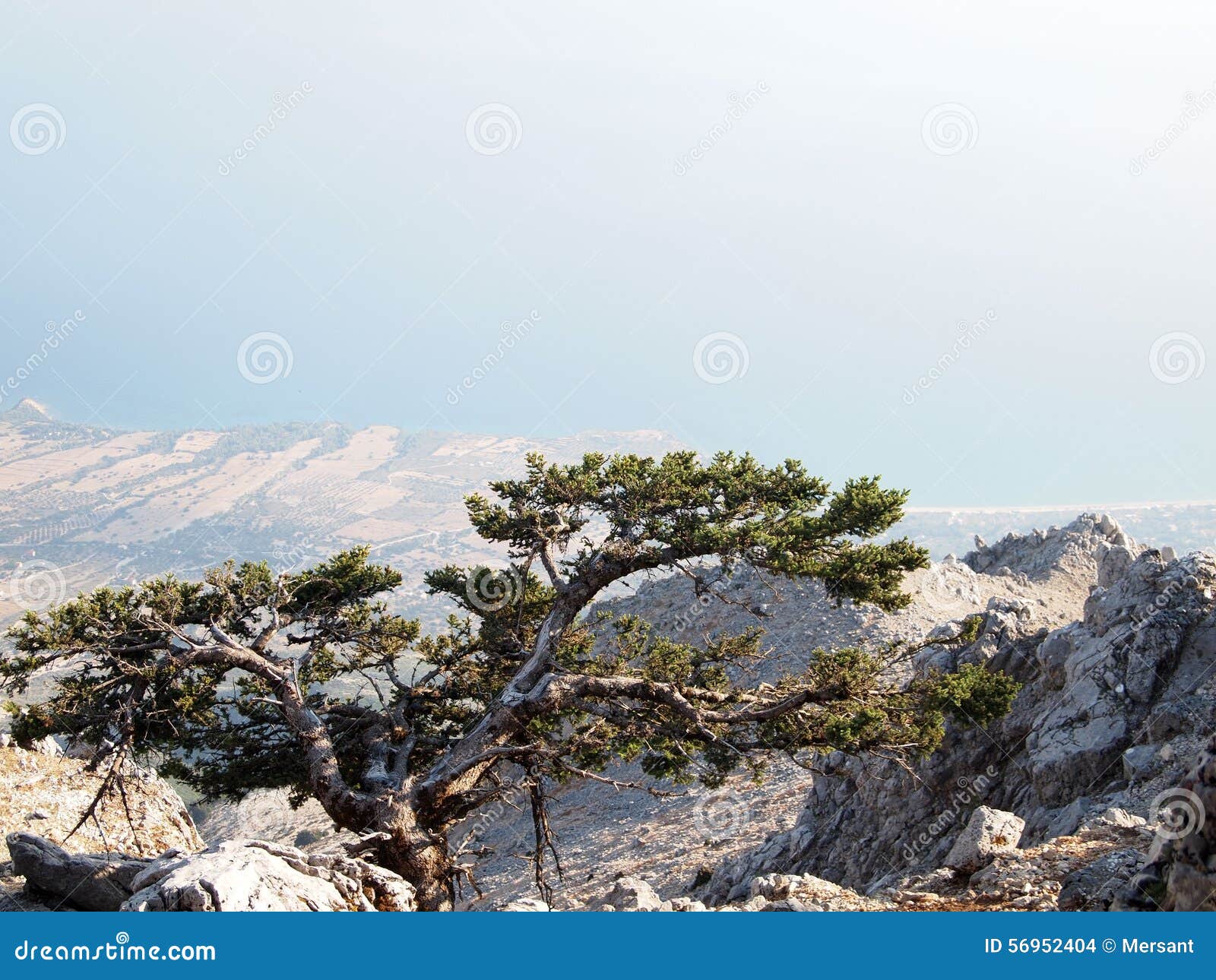 Mount Ainos stock photo. Image of nature, rocks, beautiful - 56952404