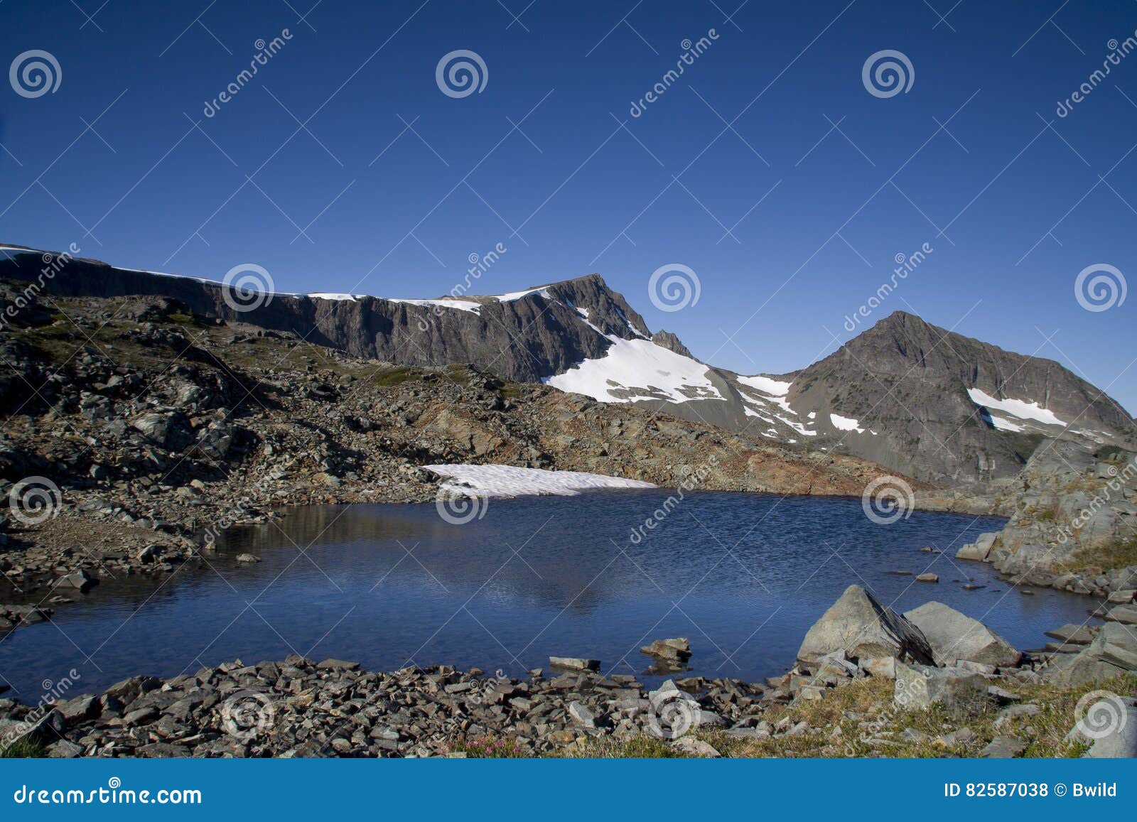 Mount Albert Edward stock photo. Image of white, beautiful - 82587038