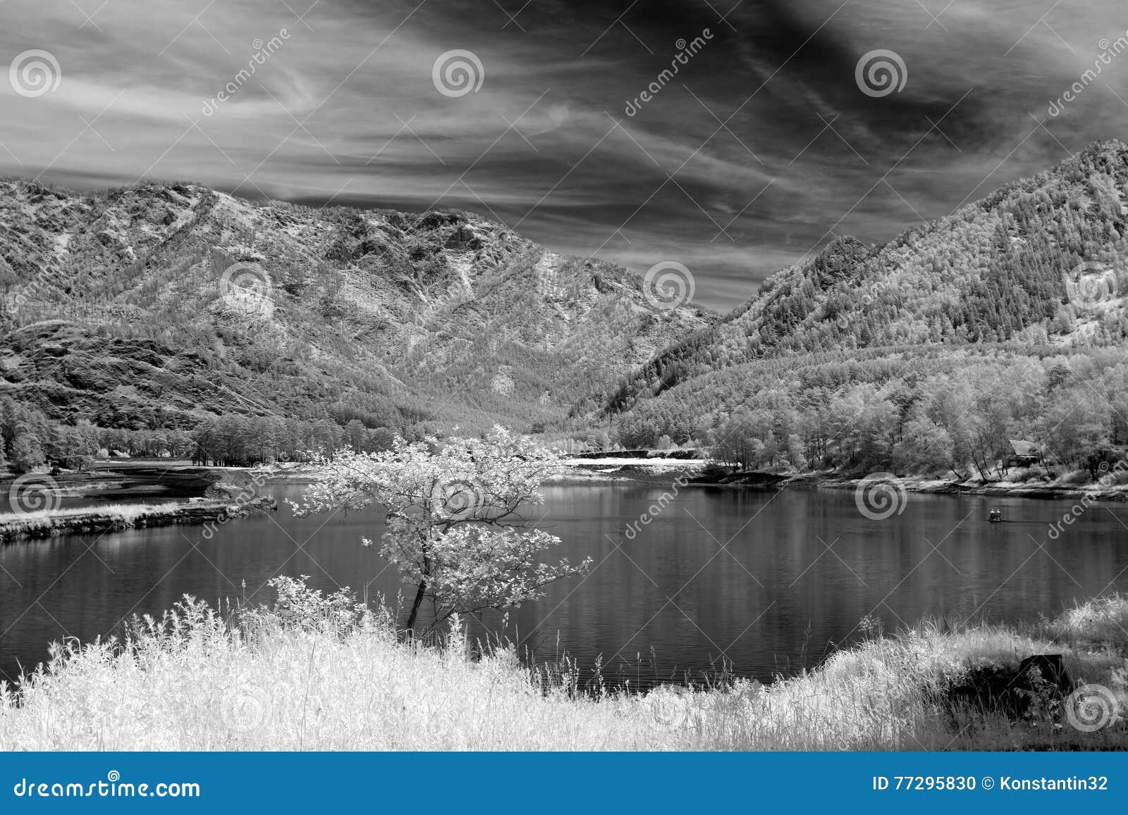 Mount Altai State Natural Biospheric Reserve, Russia. Stock Photo ...