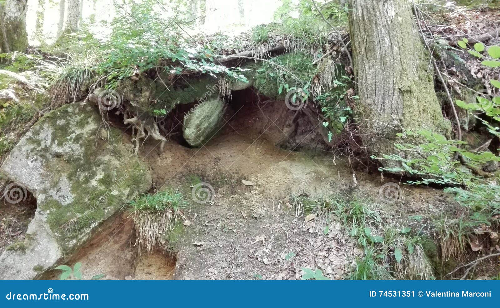 Underhang Stock Photos - Free & Royalty-Free Stock Photos from Dreamstime