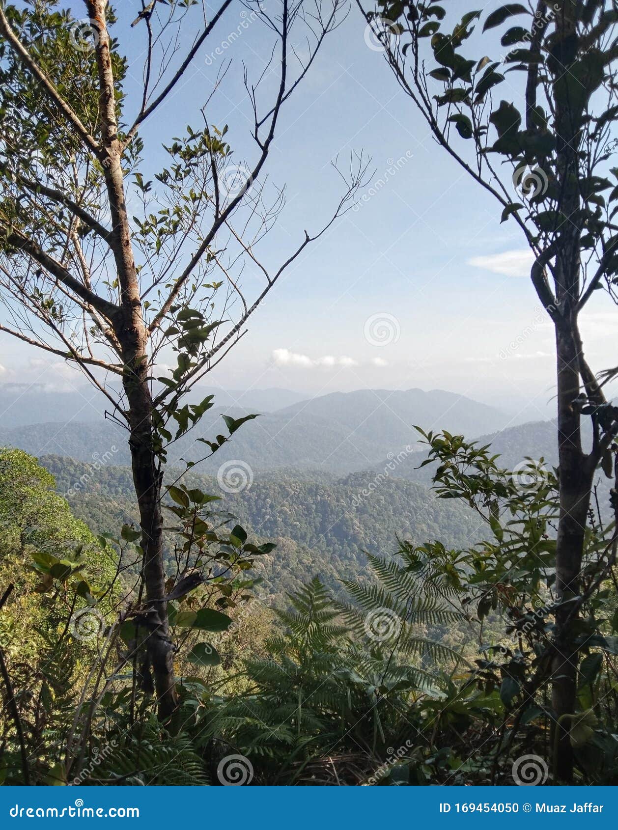 Beautiful Scenery from Mount Angsi in Malaysia. Stock Photo - Image of ...