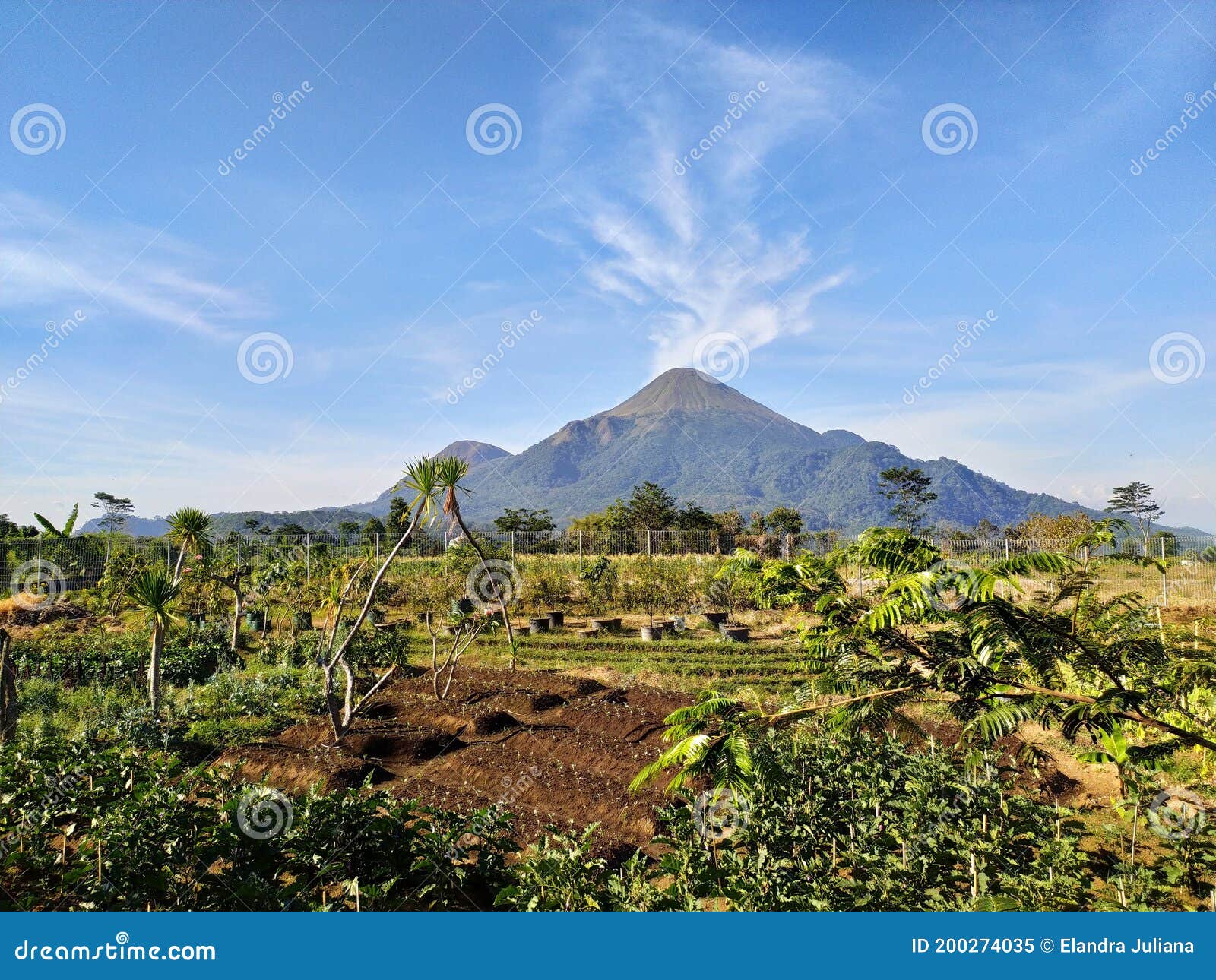 Mount arjuna East Java stock image. Image of landscape - 200274035