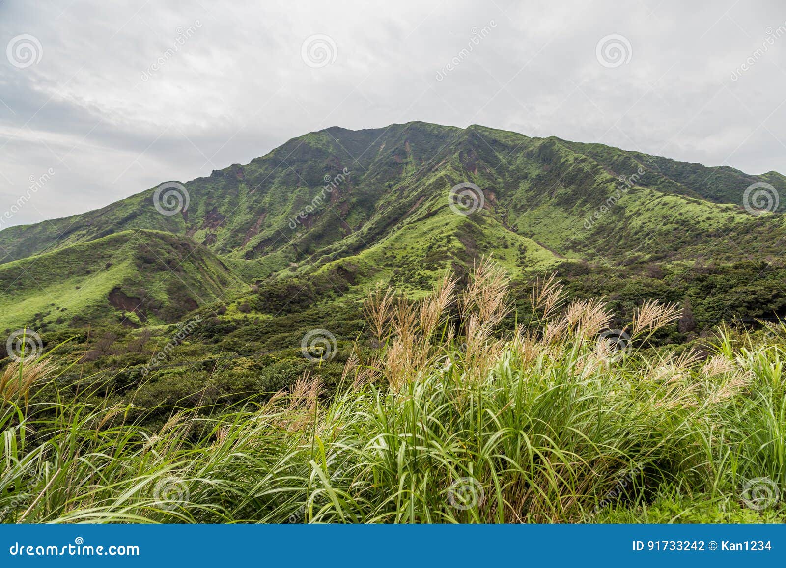 Mount Aso Landscape Which is Active Volcano in Kumamoto, Japan Stock ...