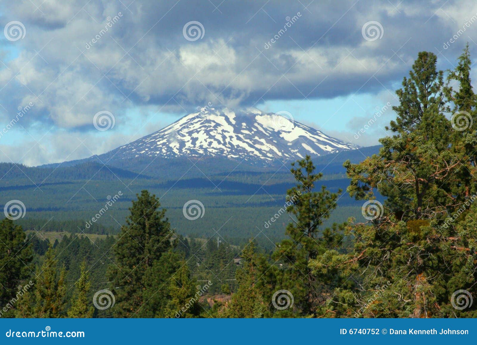 Mount Bachelor stock photo. Image of pine, conifers, forest - 6740752