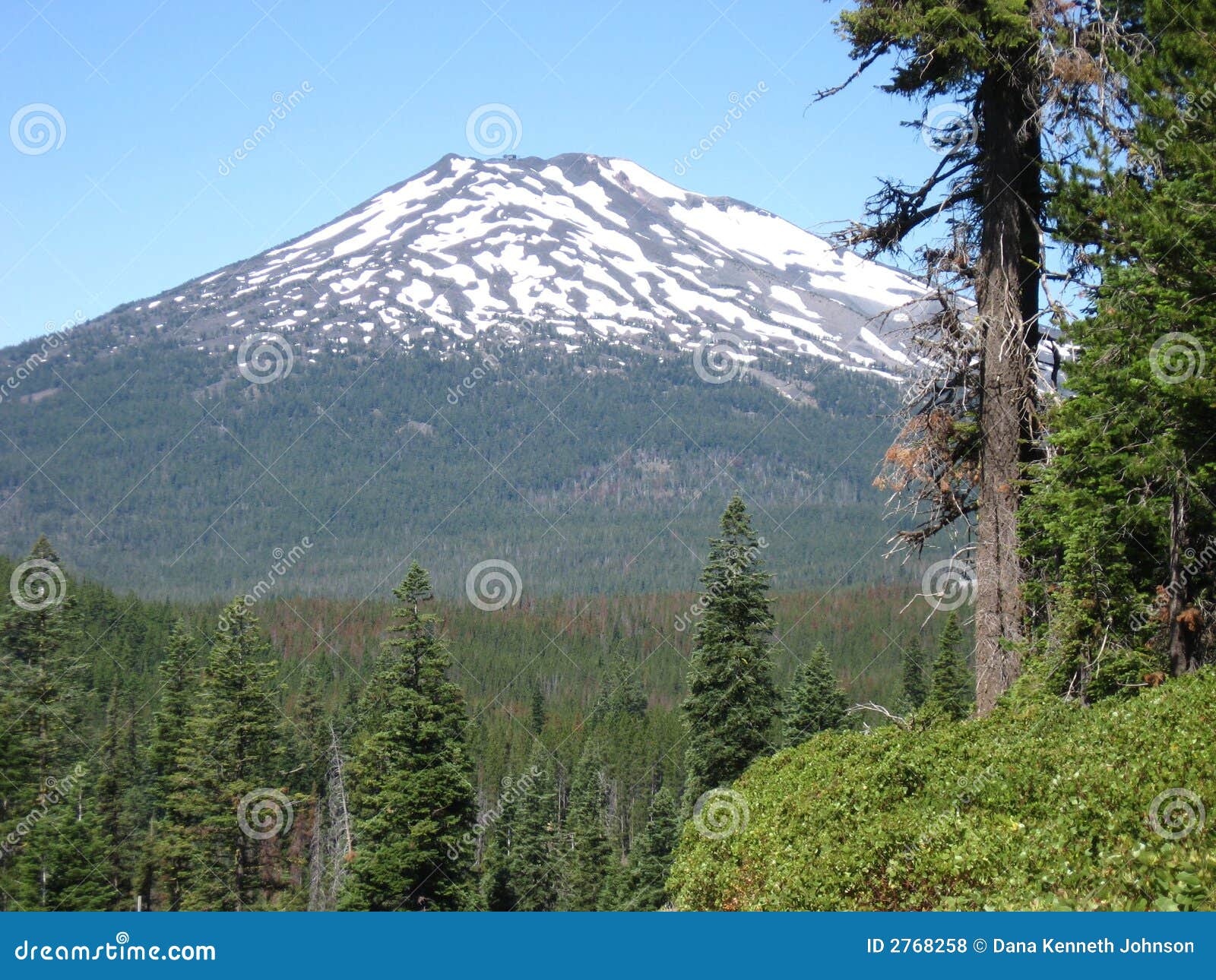 Mount Bachelor, Central Oregon Stock Photo - Image of volcanic, skiing ...