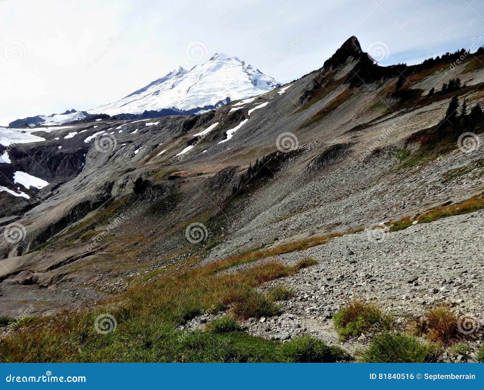 Mount Baker from Ptarmigan Ridge, Washington Stock Photo - Image of ...
