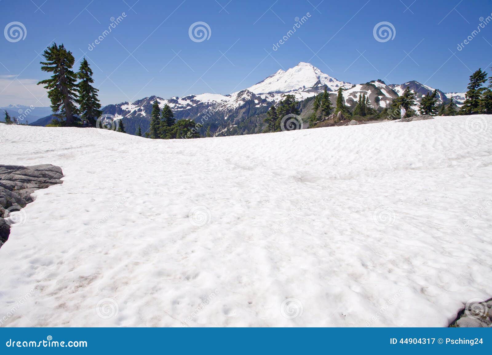 Mount Baker View from Artist Point Stock Image - Image of mountains ...
