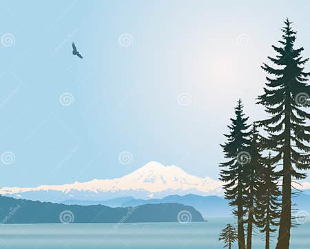 Mount Baker Washington State Stock Vector - Illustration of panoramic ...