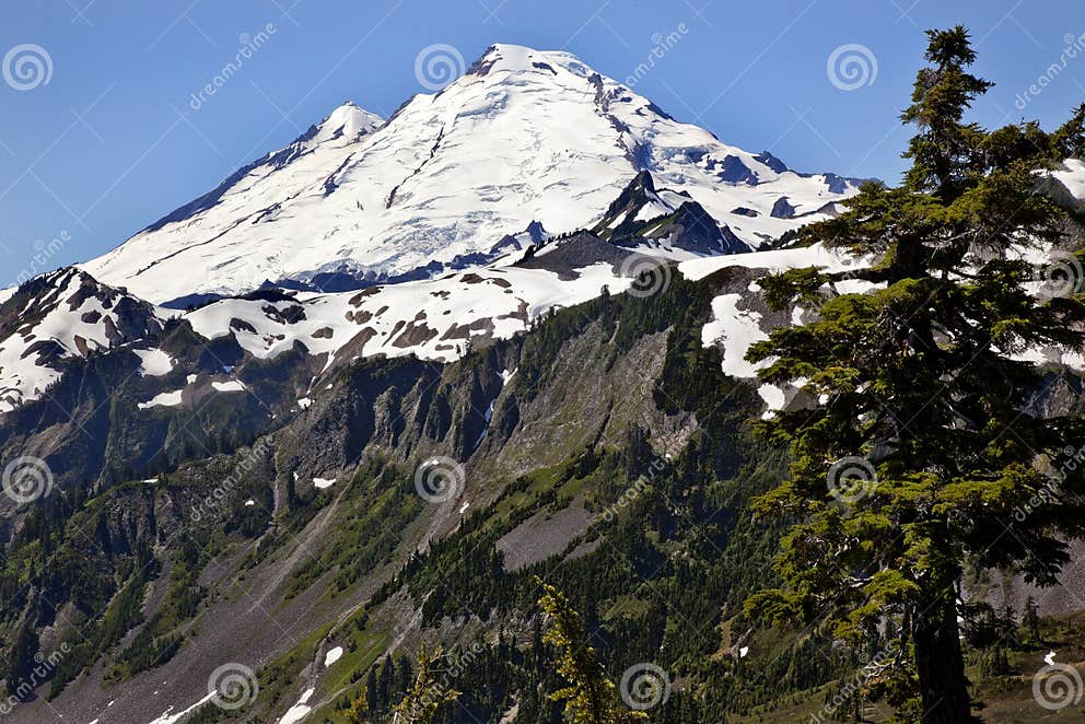 Mount Baker Washington State Stock Image - Image of pacific, mount ...
