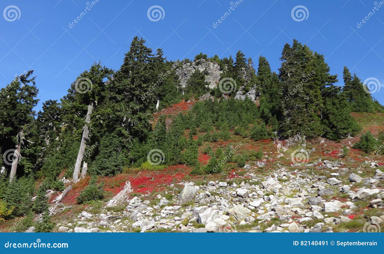 Mount Baker Wilderness with Fall Colors Stock Image - Image of ...