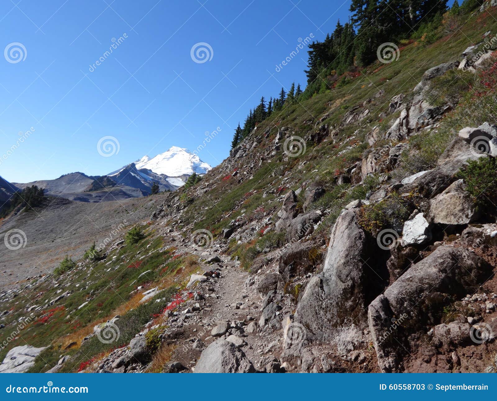 Mount Baker Wilderness in Fall Stock Image - Image of america, landmark ...