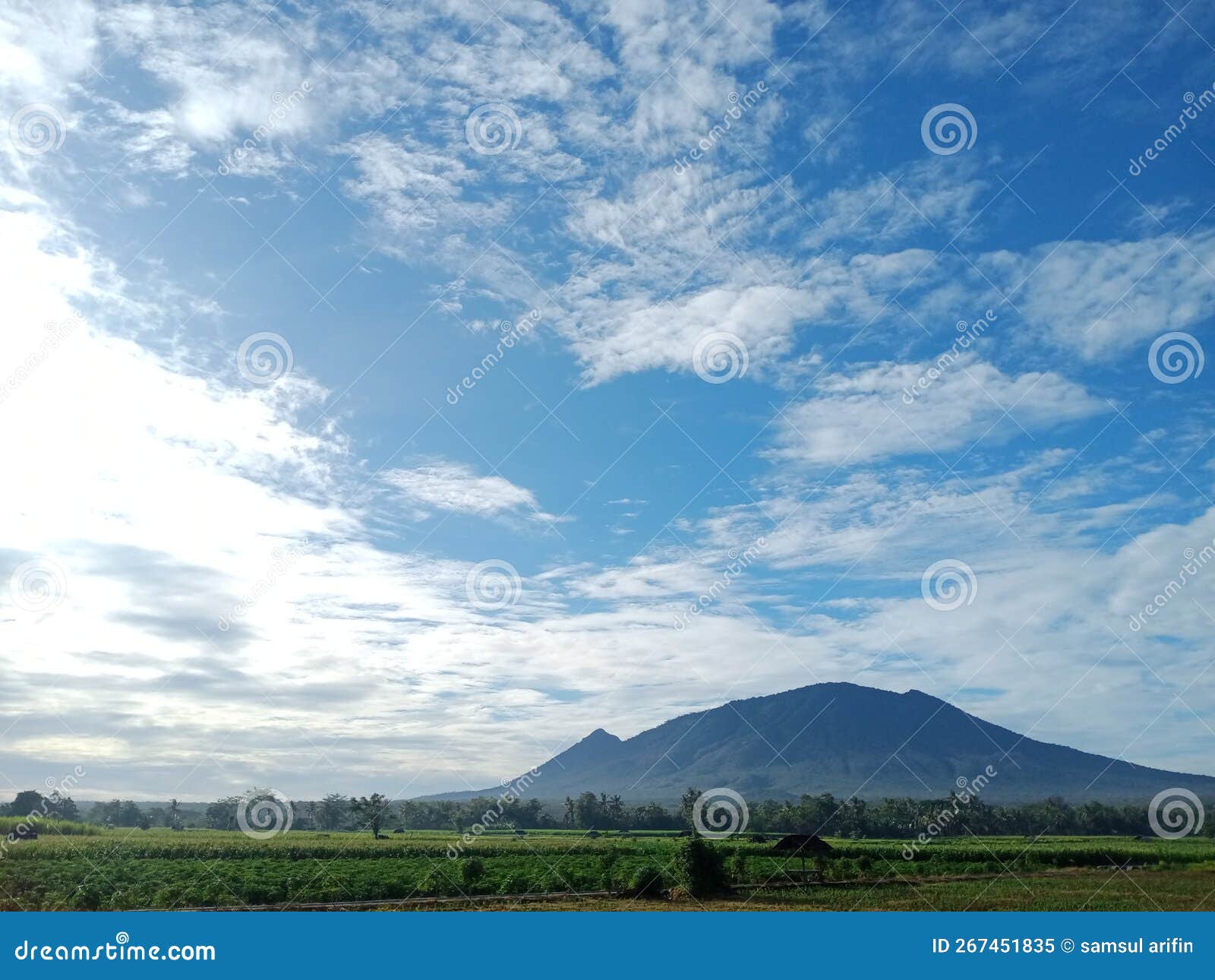 Mount Baluran Looks Beautiful in the Morning Stock Image - Image of ...