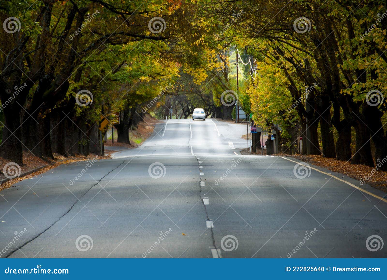 Barker Rd Stock Photos - Free & Royalty-Free Stock Photos from Dreamstime