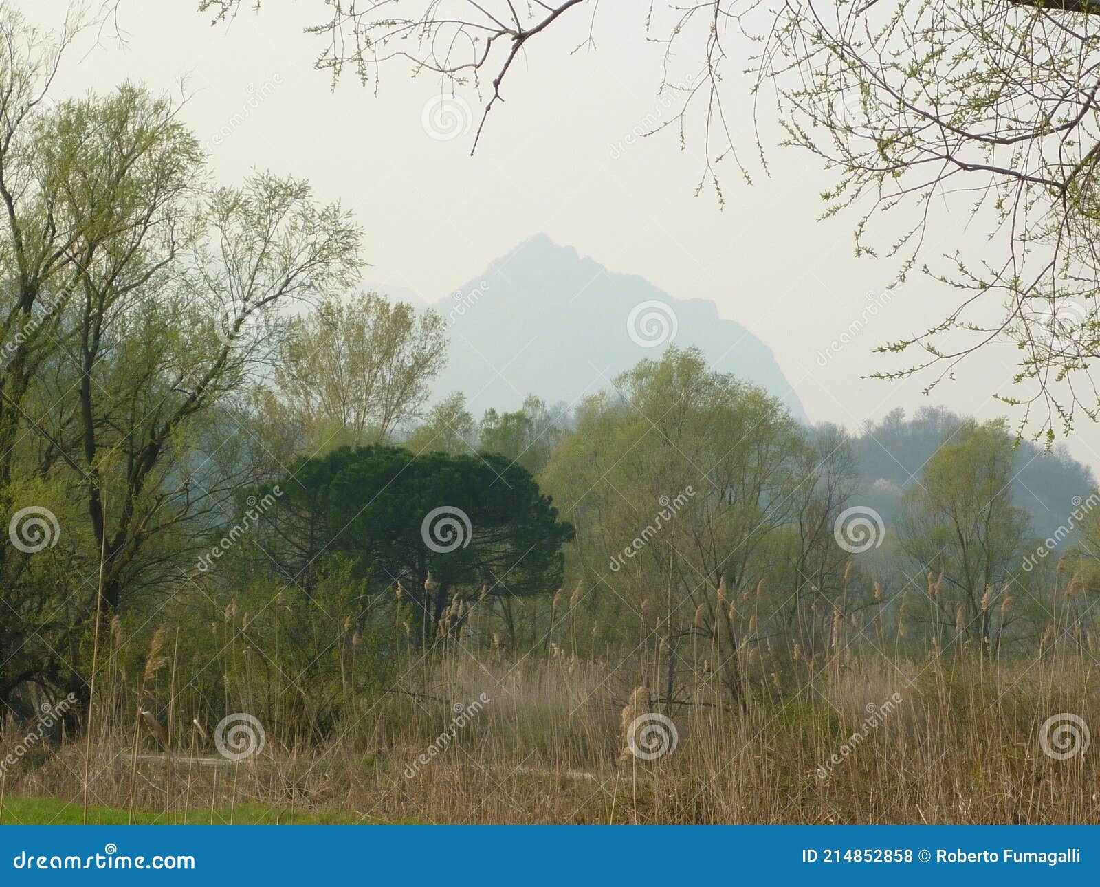 Mount Barro Seen from Airuno & X28;Italy& X29; Stock Photo - Image of ...