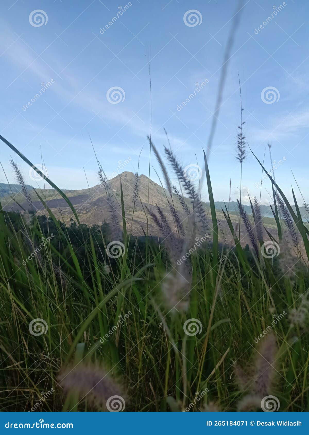 Mount Batur View at Kintamani Stock Image - Image of view, bali: 265184071
