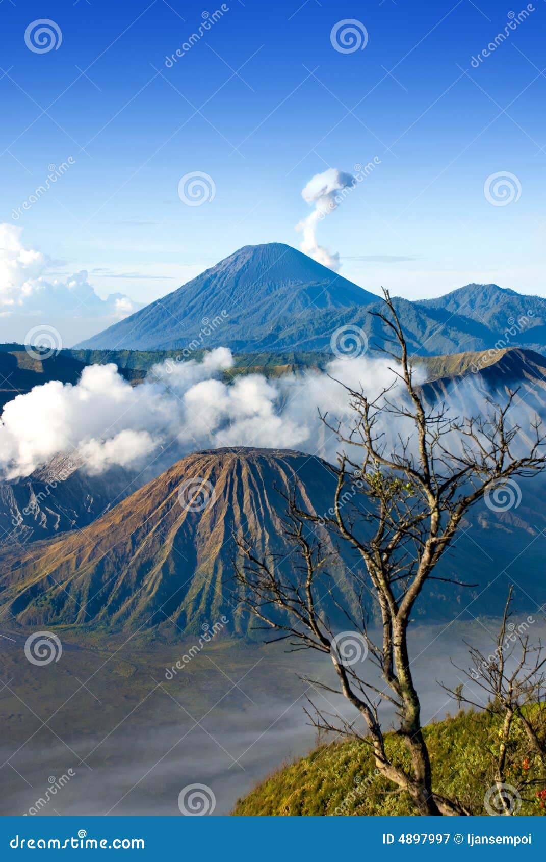 Mount Bromo, Mt Batok And Gunung Semeru In Java, Indonesia. Stock Photo ...