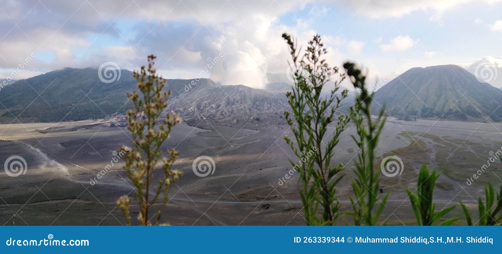 Mount Bromo Indonesia stock photo. Image of fire, indonesia - 263339344