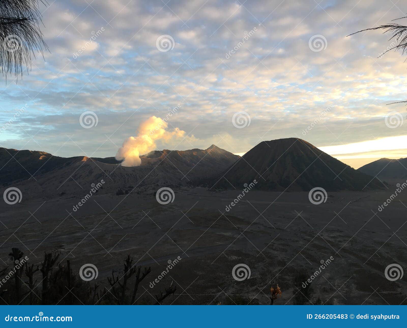Tengger Village Royalty-Free Stock Photo | CartoonDealer.com #100774983