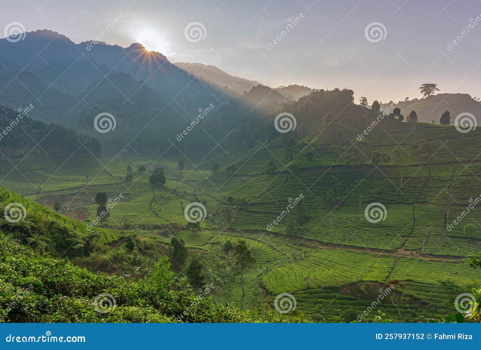 Burangrang Stock Photos - Free & Royalty-Free Stock Photos from Dreamstime