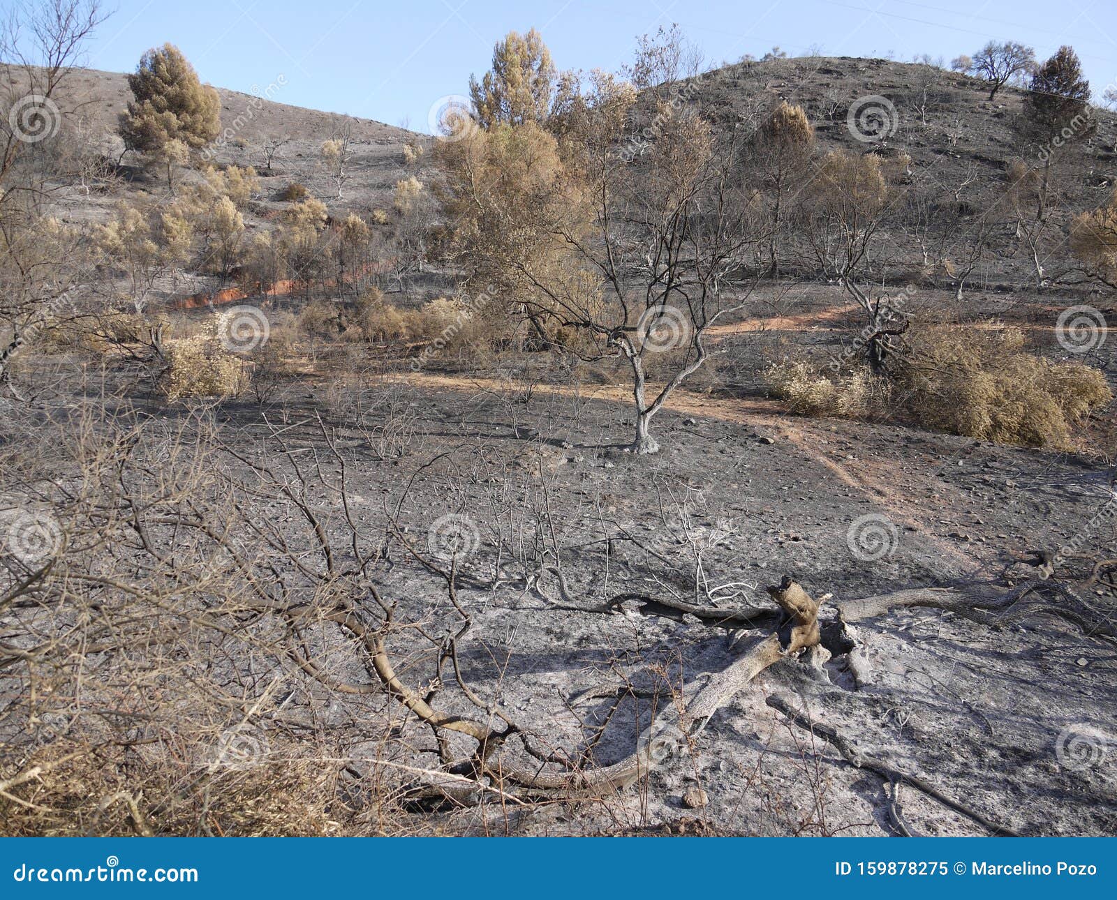 Mount burned by fire stock image. Image of ashes, environment - 159878275