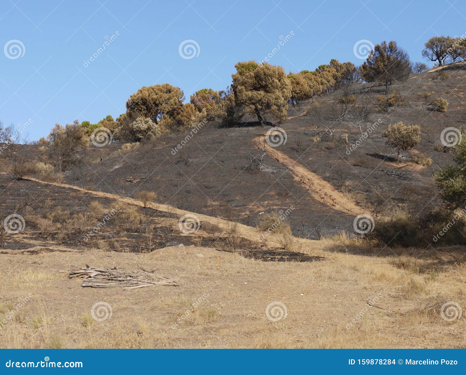 Mount burned by fire stock photo. Image of operators - 159878284