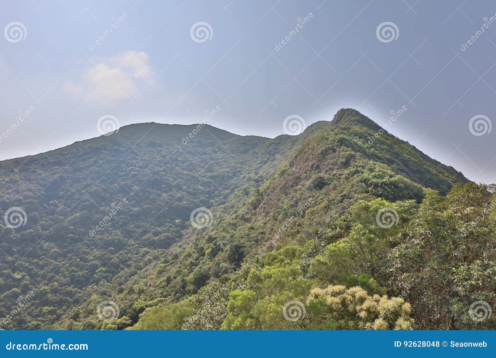 The Mount Cameron at Hong Kong Stock Photo - Image of rica, latin: 92628048