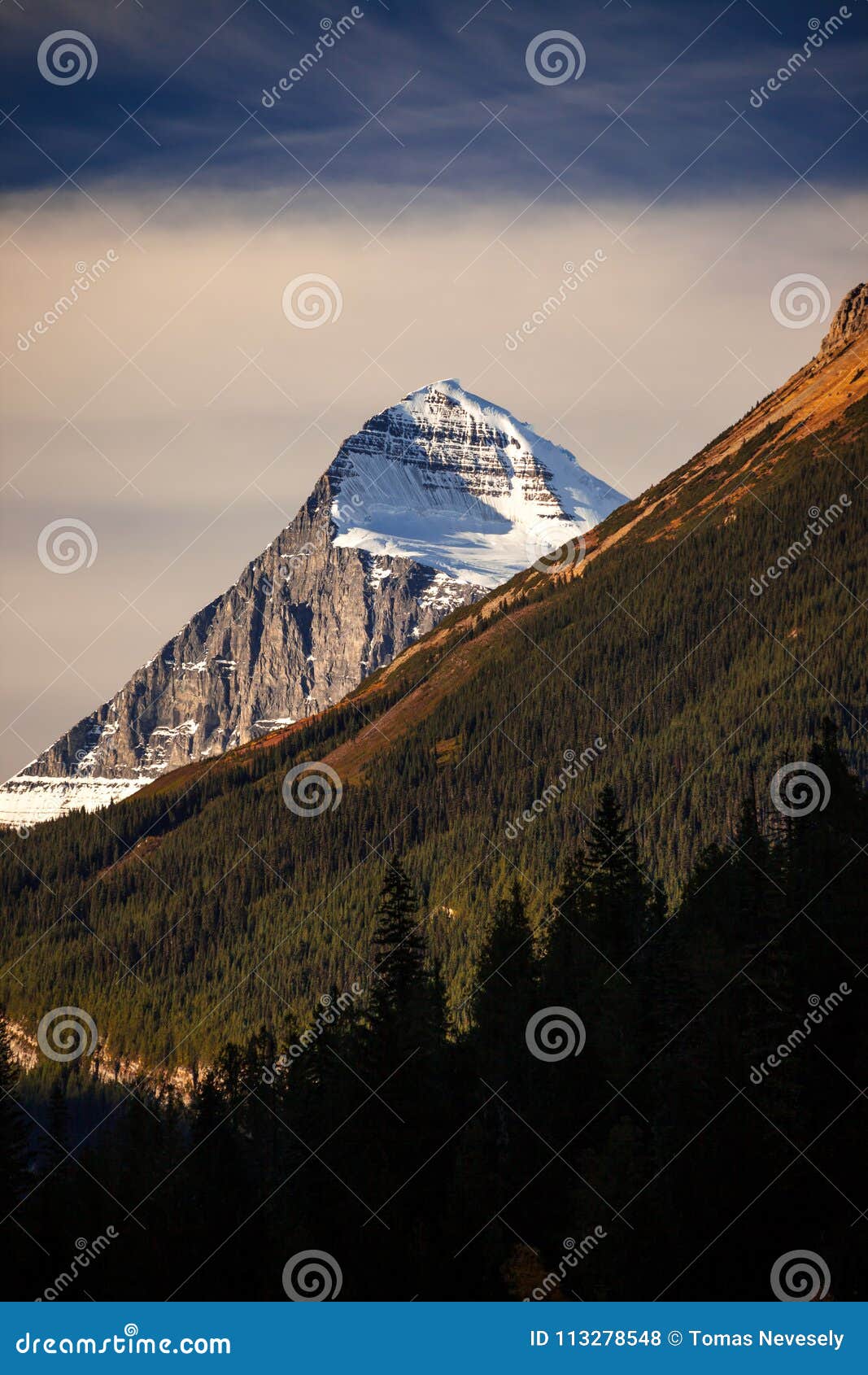 Mount Columbia, Tallest Peak in Alberta, Canada Stock Photo - Image of ...
