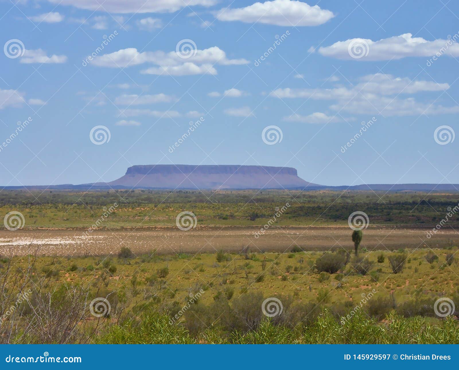Mount Connor stock image. Image of conner, outback, bush - 145929597
