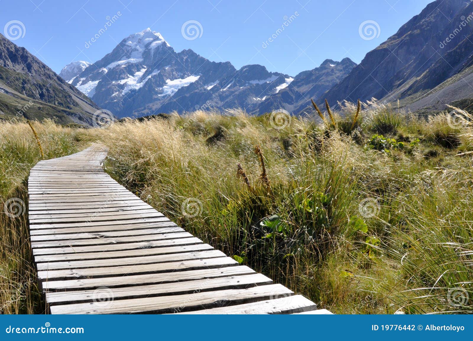 Mount Cook stock photo. Image of peak, scenery, walk - 19776442