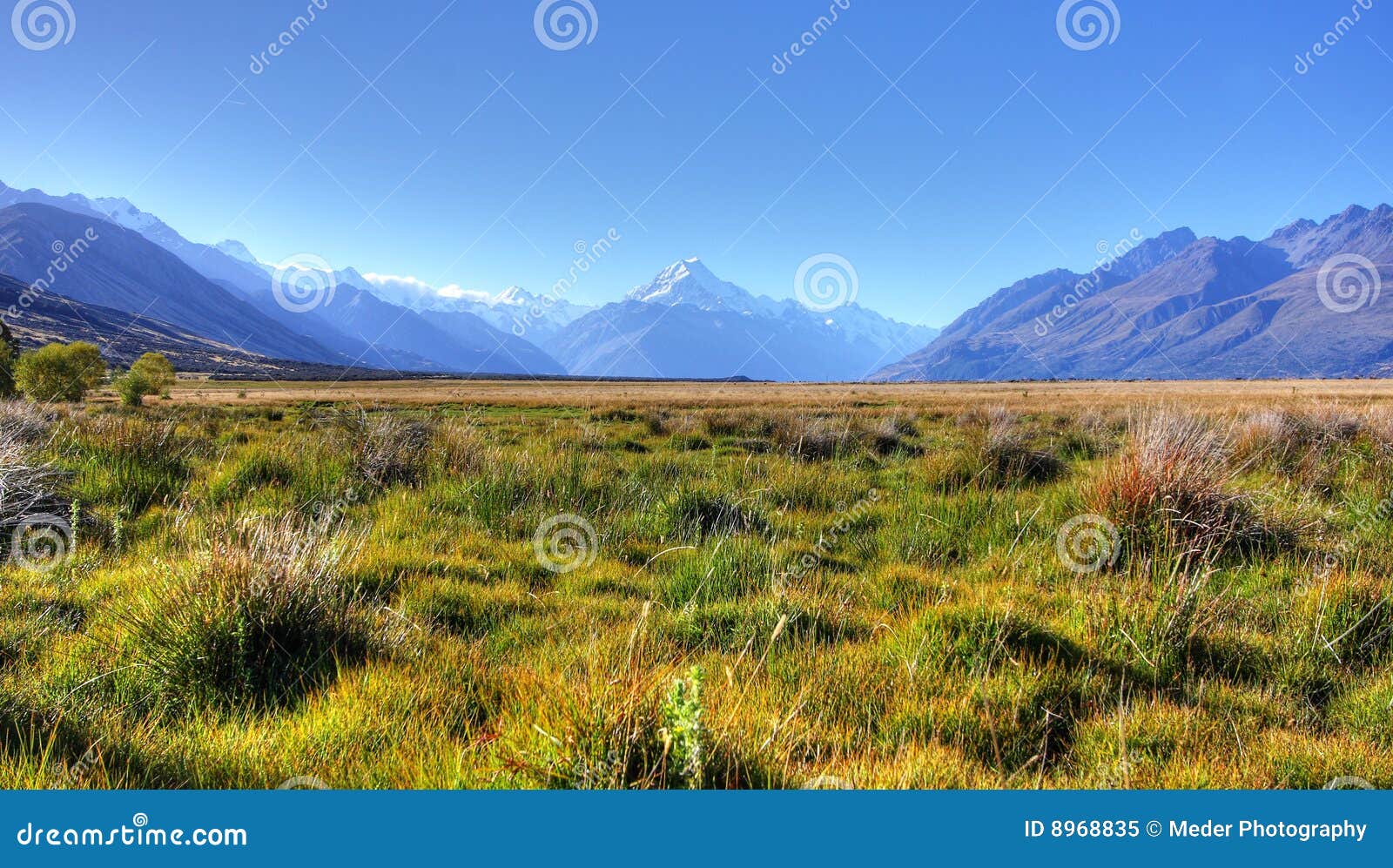 Mount Cook stock image. Image of peaceful, scenery, river - 8968835