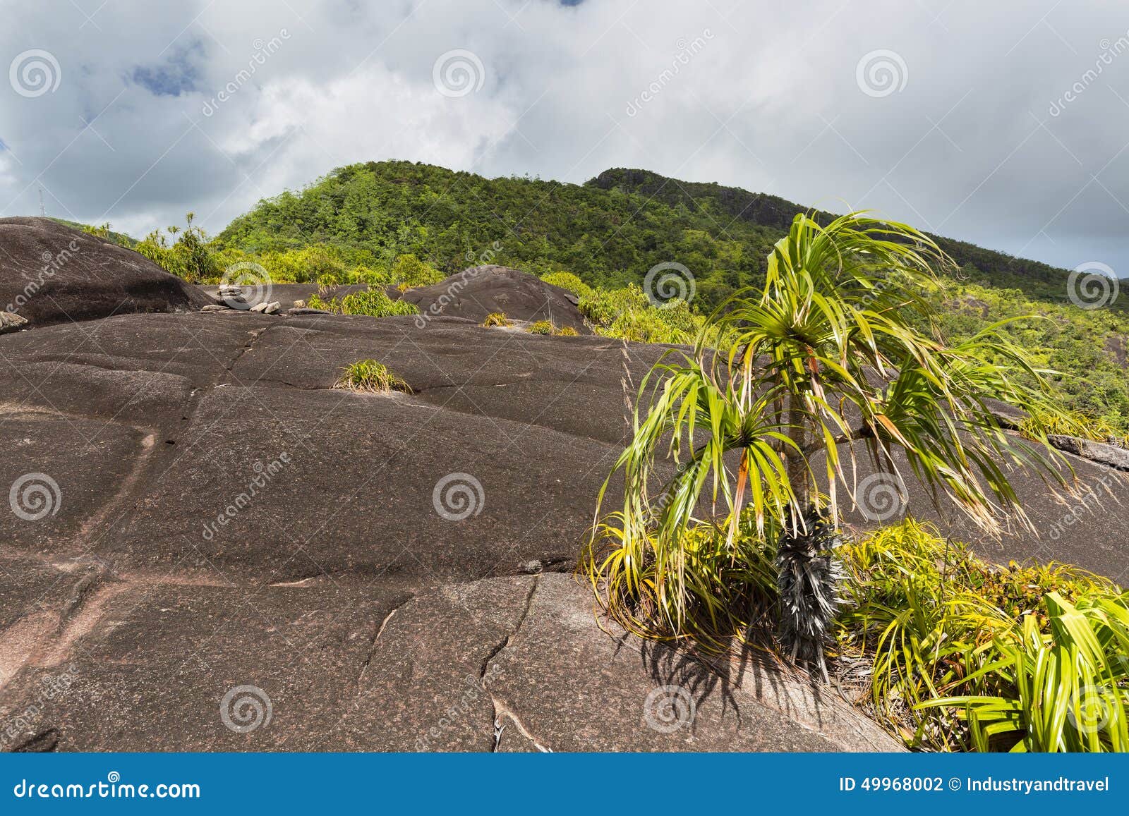 Mount Copolia, Mahe, Seychelles Stock Photo - Image of mahe, travel ...