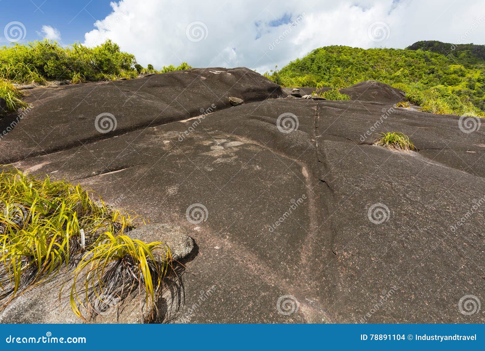 Mount Copolia, Mahe, Seychelles Stock Photo - Image of travel, mount ...