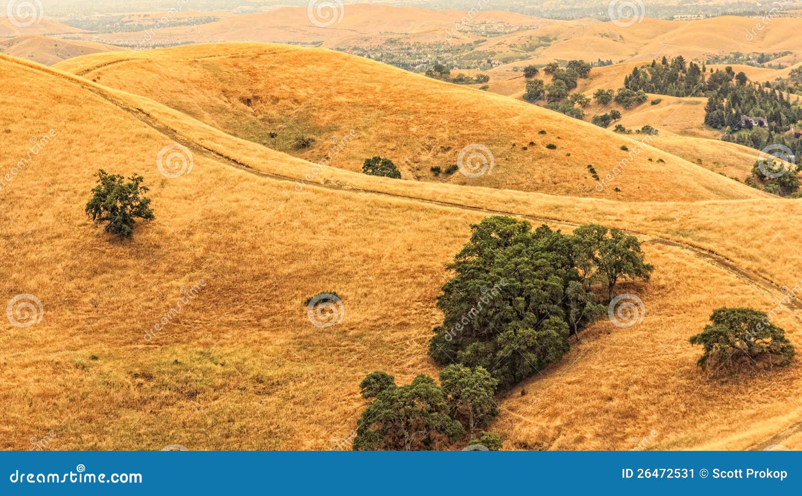 Mount Diablo State Park Stock Photography | CartoonDealer.com #69795830