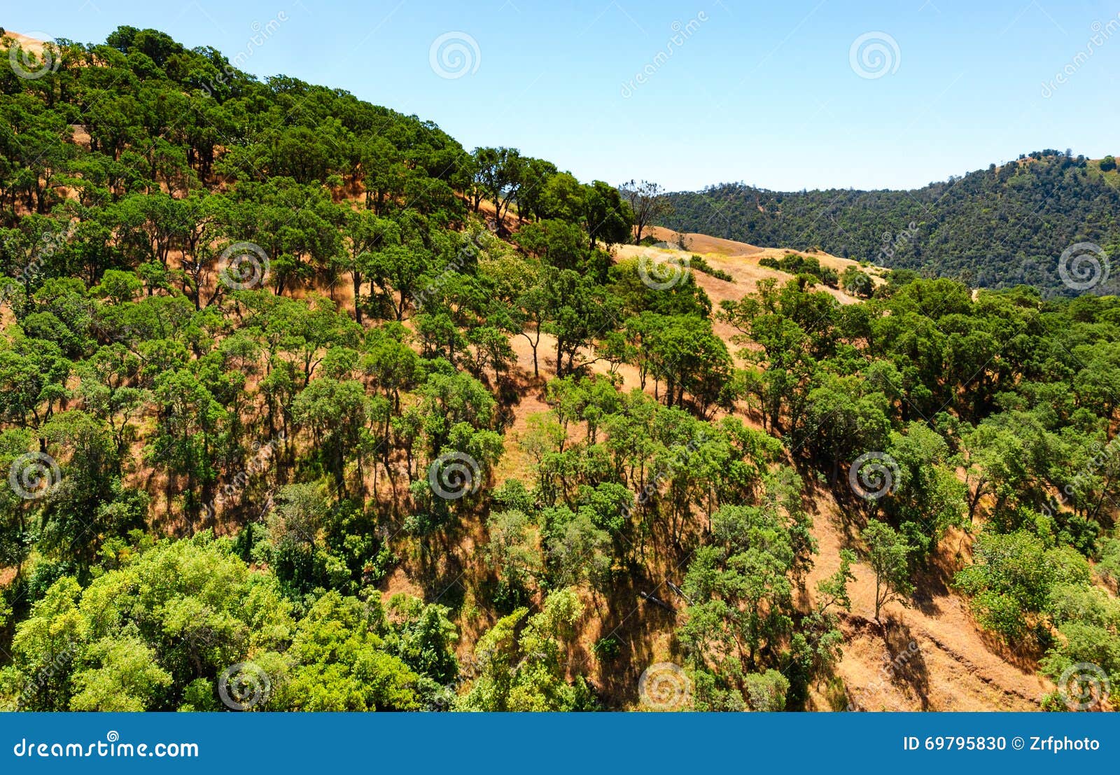 Mount Diablo State Park stock photo. Image of county - 69795830