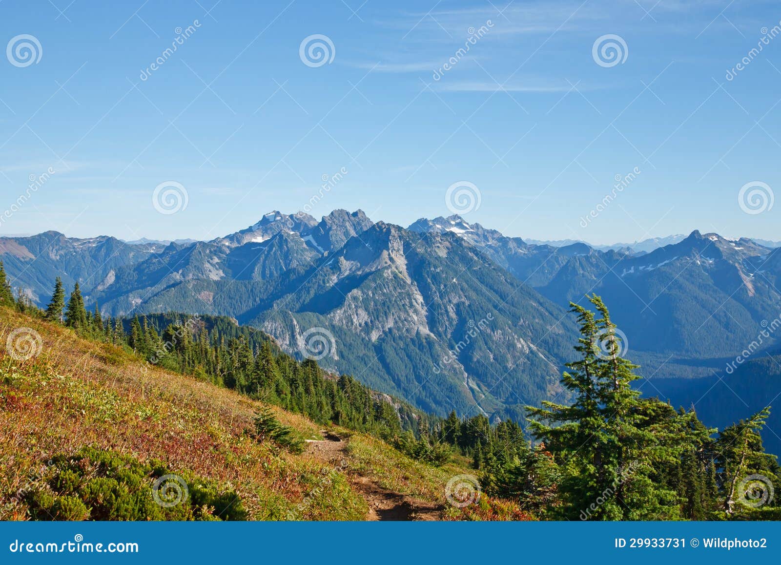 Dickerman Trail View stock image. Image of distant, vegetation - 29933731