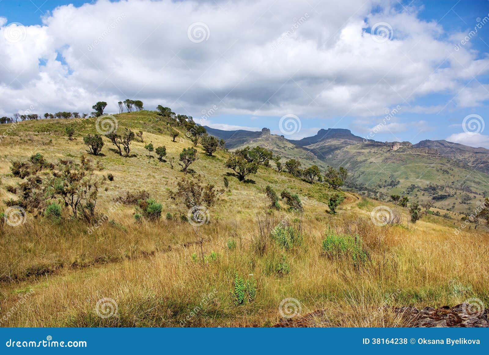 Mount Elgon National Park, Kenya Stock Photo - Image of climate ...